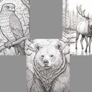 Woodland Animals Coloring Book Page Bundle , Adults Kids Instant ...