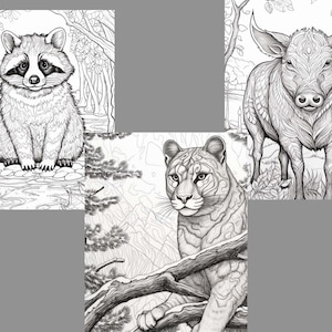 Woodland Animals Coloring Book Page Bundle , Adults Kids Instant ...
