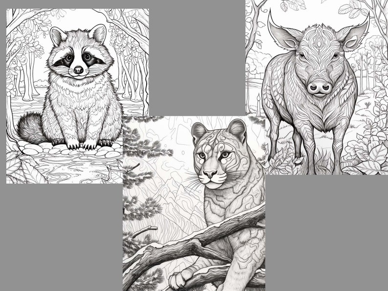 Woodland Animals Coloring Book Page Bundle , Adults Kids Instant ...
