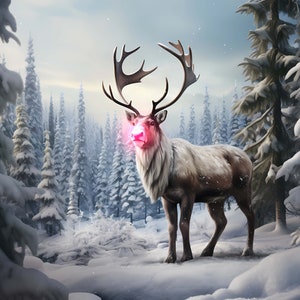 2 Christmas Rudolph Reindeer Background Backdrop for Photography ...