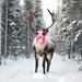 2 Christmas Rudolph Reindeer Background Backdrop for Photography ...