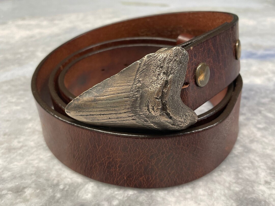 The Shark Enthusiast - Brown Glazed Buffalo Leather Belt With Real Cast ...