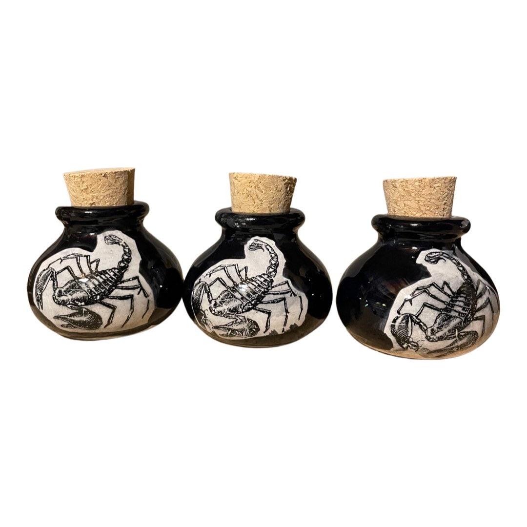 Halloween Scorpion Jar: Hand-painted Ceramic Pottery With Cork Lid - Etsy