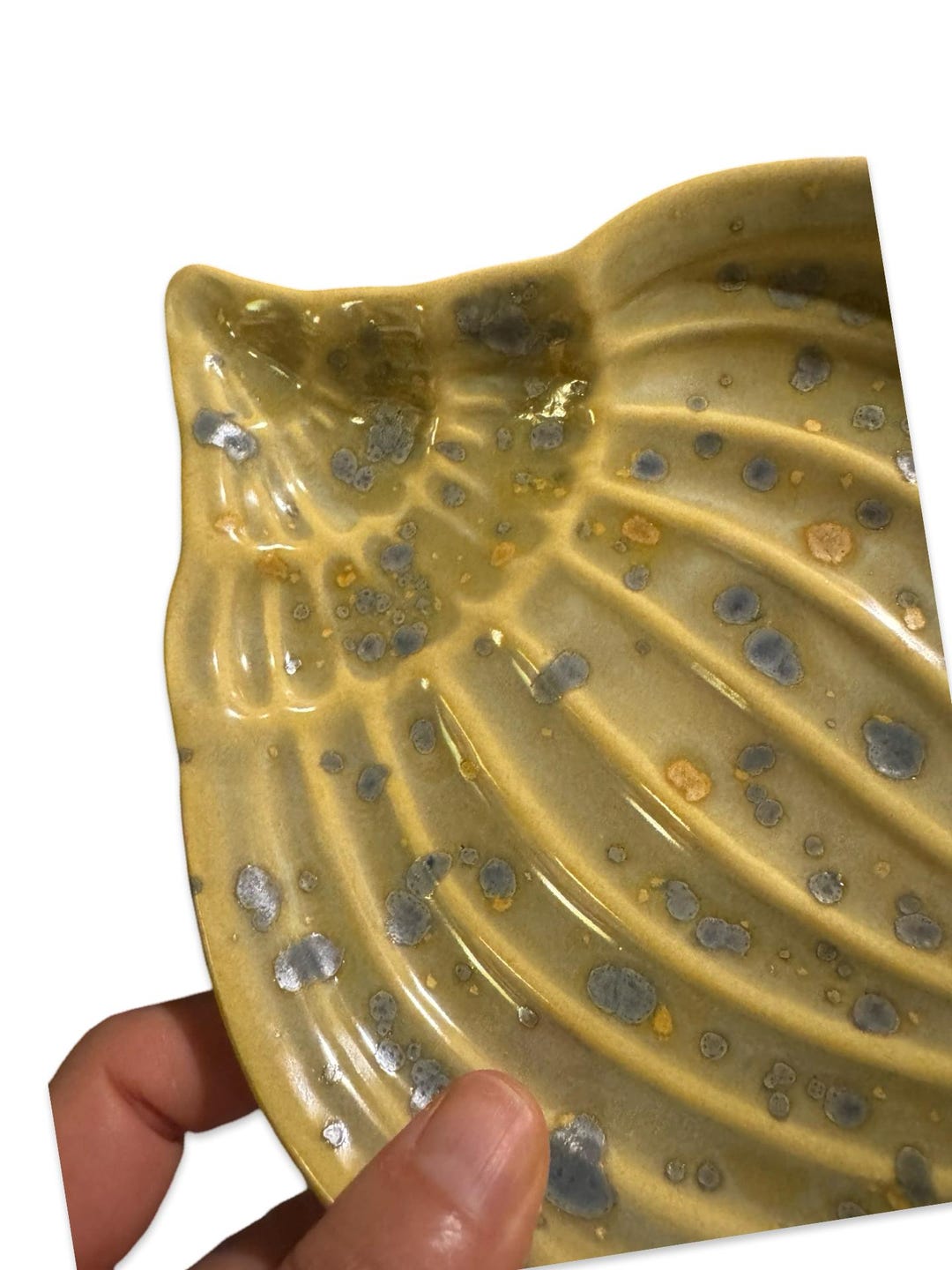 Seashell Serving Dish: Glazed Ceramic Plate, Beach House Decor (10” X 6 ...