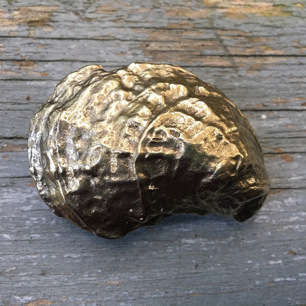 Shell Belt Buckle - Etsy