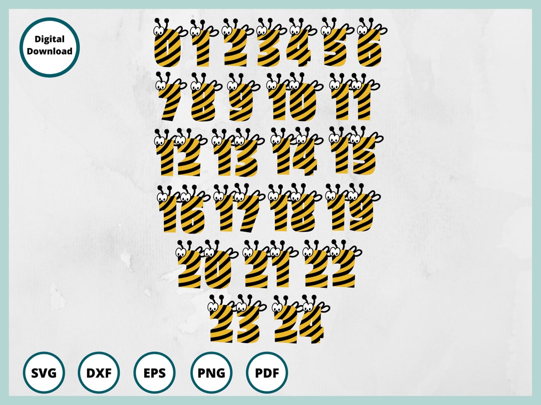 Bee SVG | Numbers Svg | Classroom Decor | Iron on Numbers | Honeybee ...
