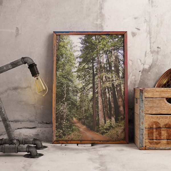 Redwood Tree - Etsy
