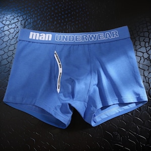 Trunks: W/ STP /packing Insert - Etsy