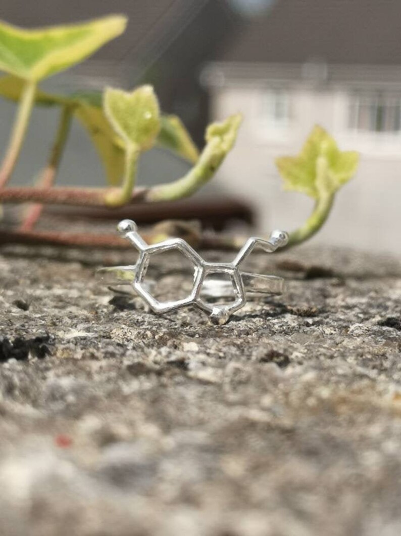 Serotonin Ring, Worry Ring Chemistry Gift Cool Rings Funky Rings Gift ...
