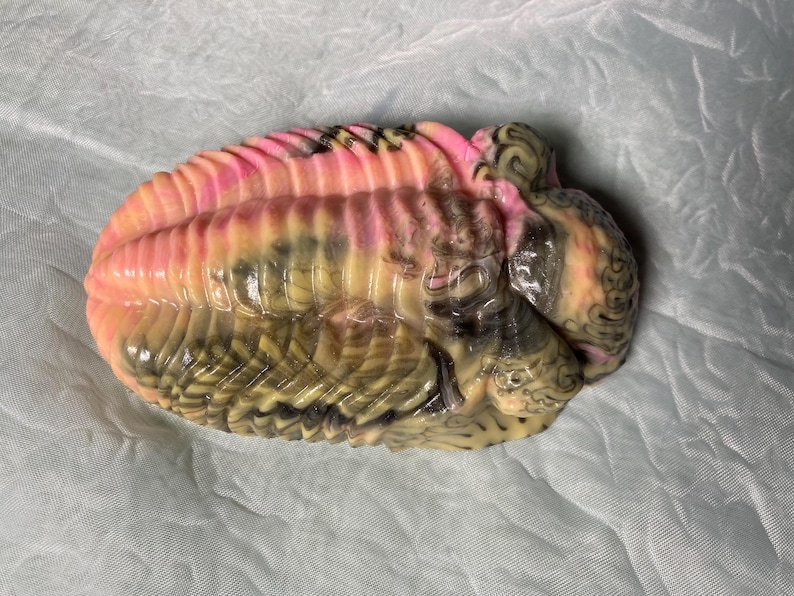 Silicone Trilobite Squishy - Guided Surprise Color/firmness, Stress ...
