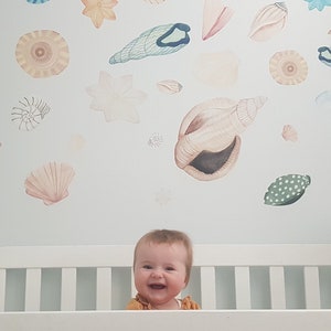 Sea Shells | Reusable FABRIC Wall Decals Eco Friendly | Peel & Stick ...