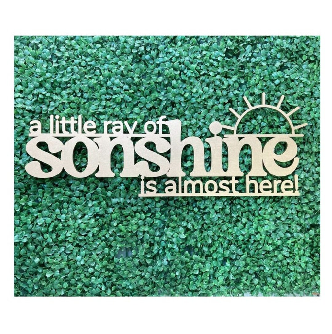 Little Ray of Sunshine Baby Shower Boy Decoration, Here Comes the Son ...