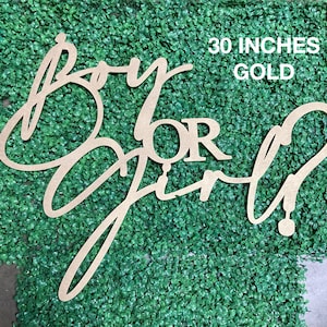Boy or Girl Sign, Gender Reveal Party Sign, Gender Reveal Backdrop, He ...