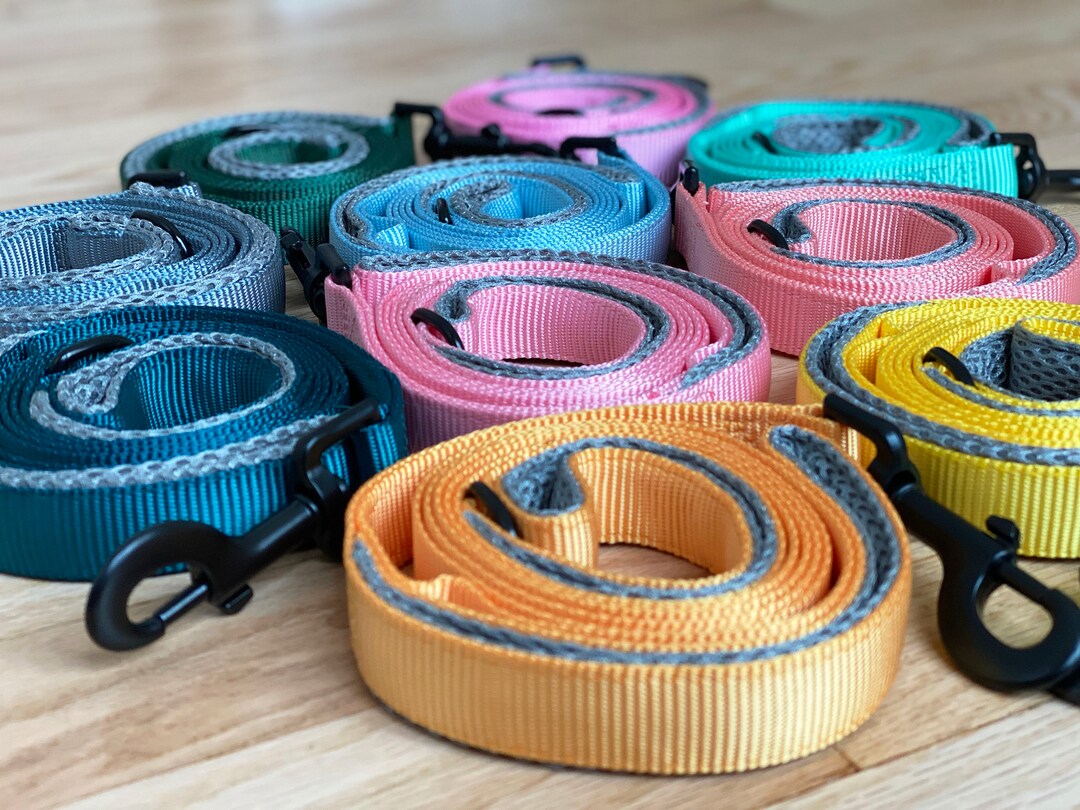 Double Handle Dog Leash | Dog Leash With 2 Handles | Safety Handle Dog ...