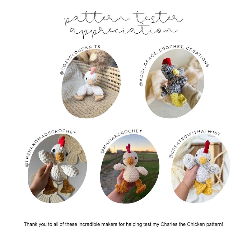 Colour Guide: Crochet Chicken Stuffie + Beak, Comb, Tail Pattern (PDF ...