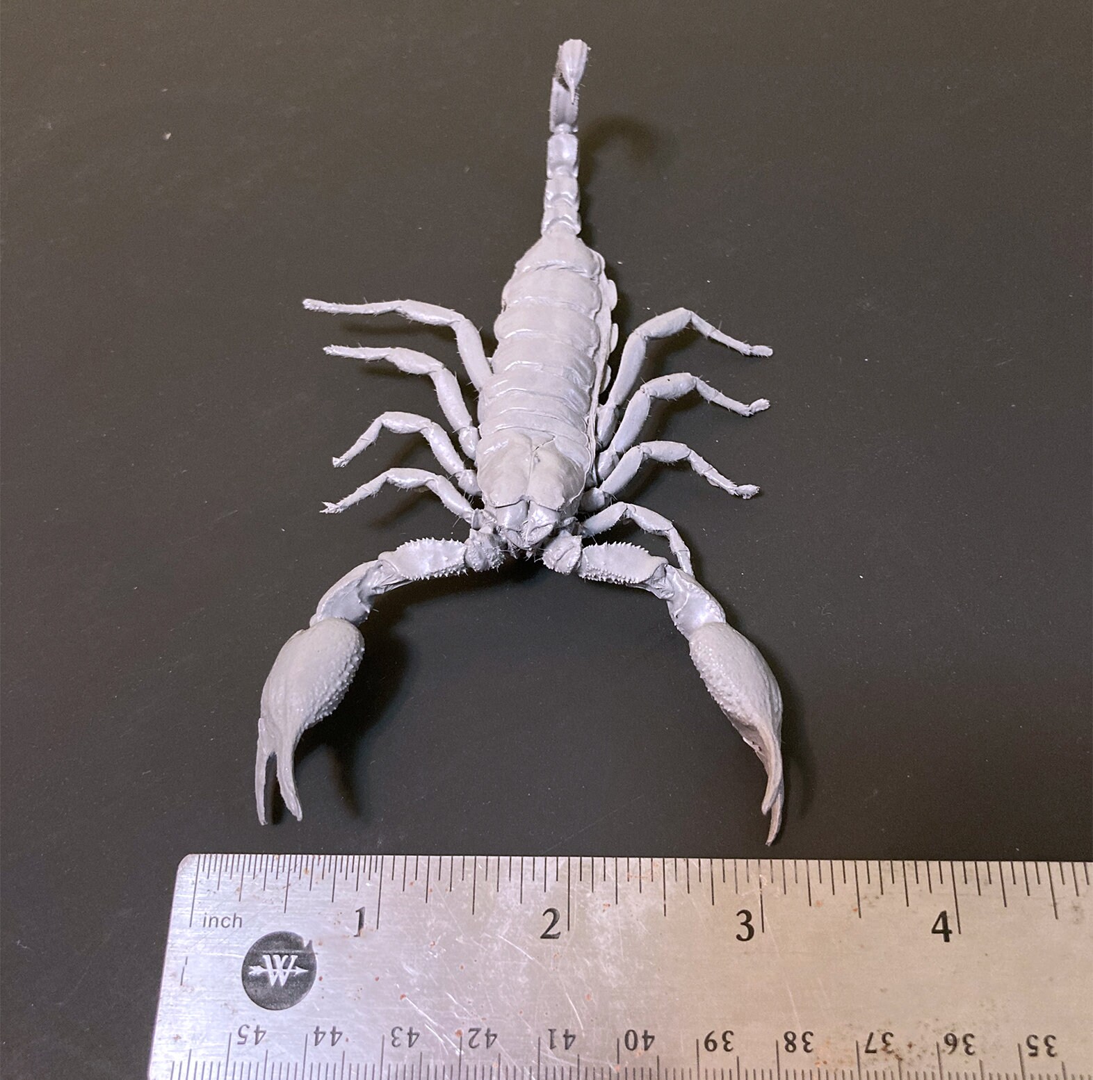 Scorpion Cast Flexible Real Detail Casting Taxidermy 5" Gray / Black - Etsy