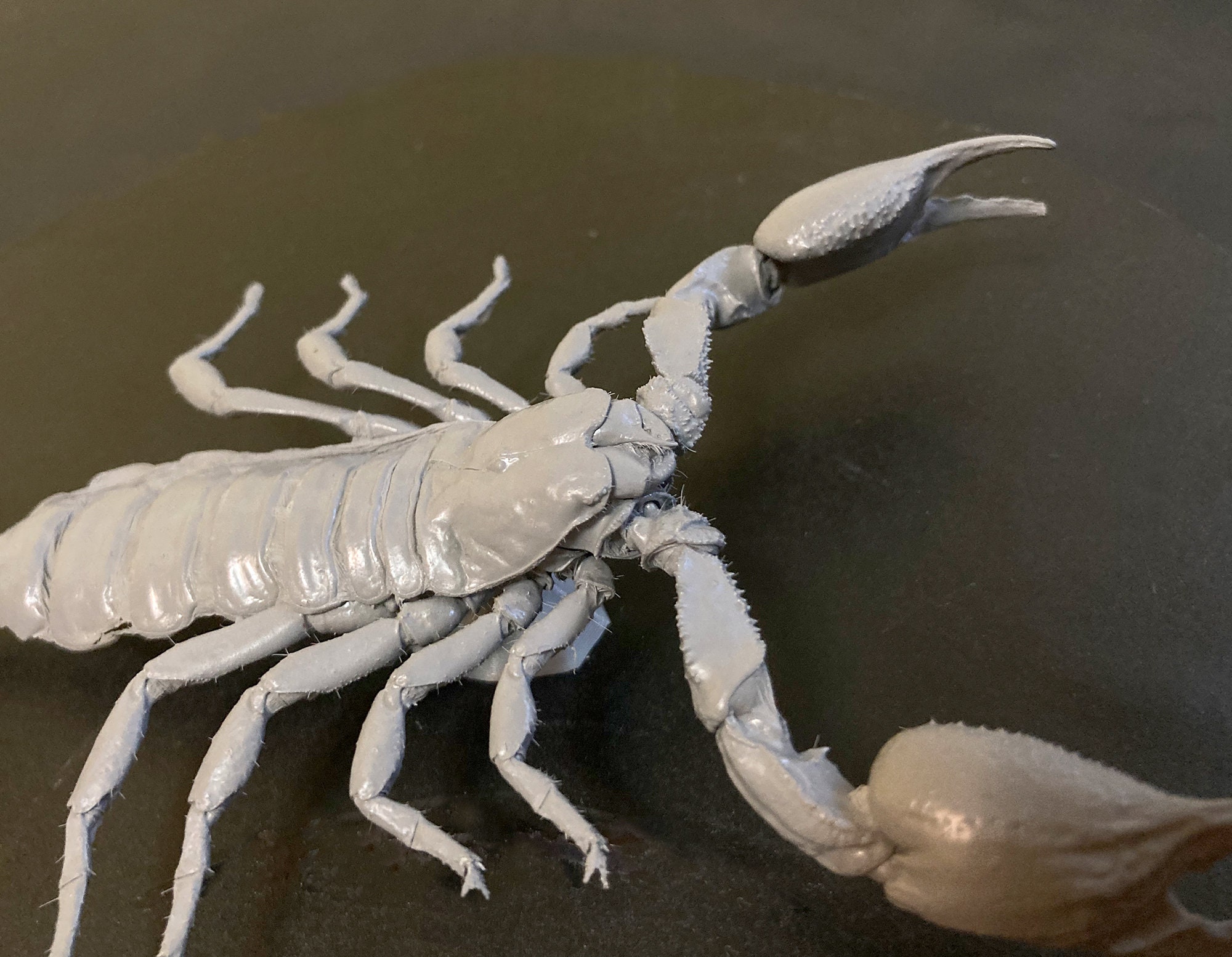 Scorpion Cast Flexible Real Detail Casting Taxidermy 5" Gray / Black - Etsy