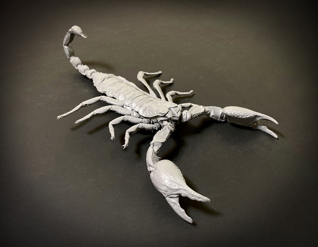 Scorpion Cast Flexible Real Detail Casting Taxidermy 5" Gray / Black - Etsy