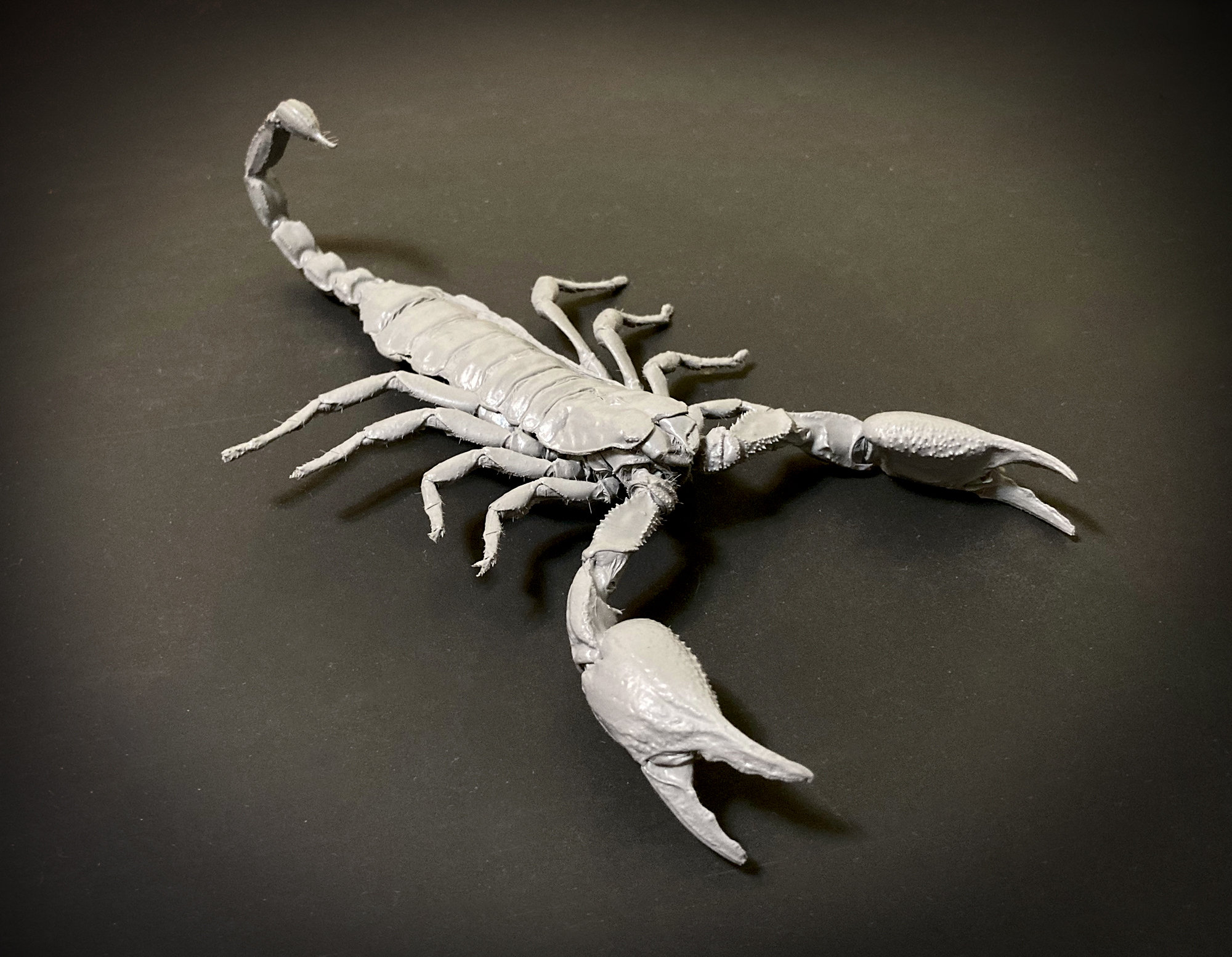 Scorpion Cast Flexible Real Detail Casting Taxidermy 5" Gray / Black - Etsy