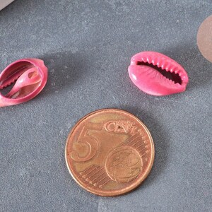 Pink Cowrie Shell Pendant, Natural Shell, Pink Cowrie, Shell Jewelry ...