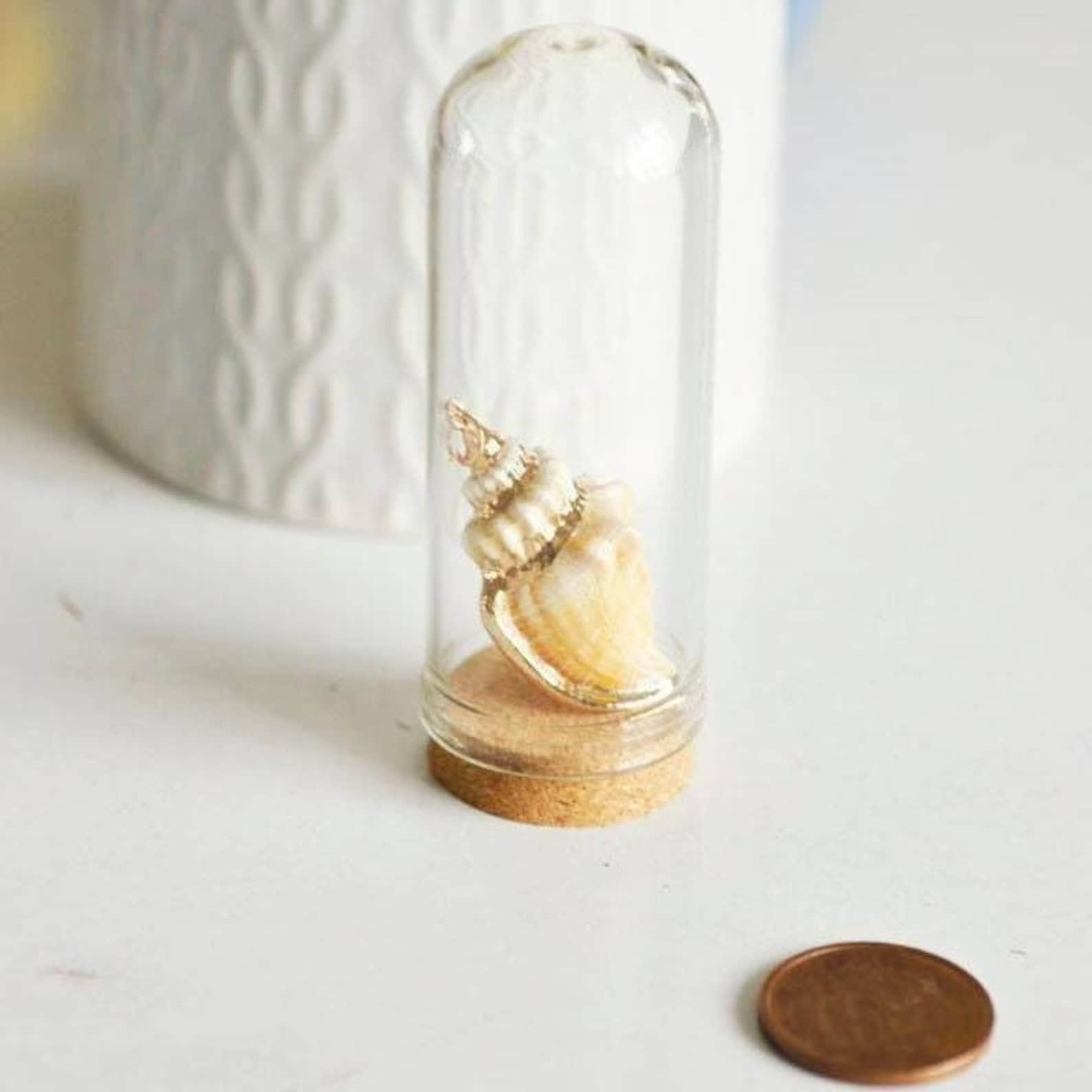 Mini cloche en verre et support en liège bouteille - Etsy France
