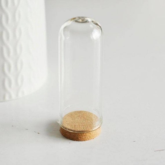 Mini cloche en verre et support en liège bouteille | Etsy France