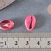Pink Cowrie Shell Pendant, Natural Shell, Pink Cowrie, Shell Jewelry ...