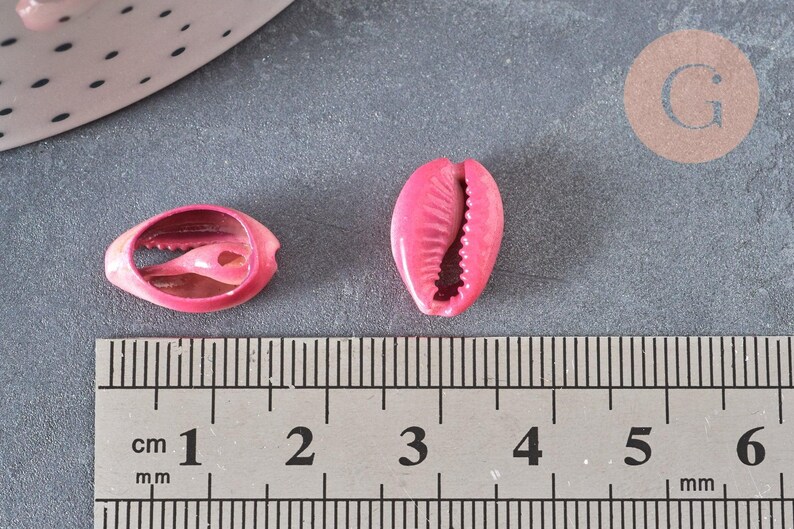 Pink Cowrie Shell Pendant, Natural Shell, Pink Cowrie, Shell Jewelry ...