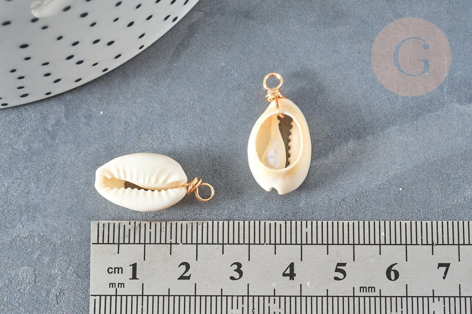 White Cowrie Shell Pendant, 18K Gold-plated Wire, 27-30mm, X1 (G7353 ...