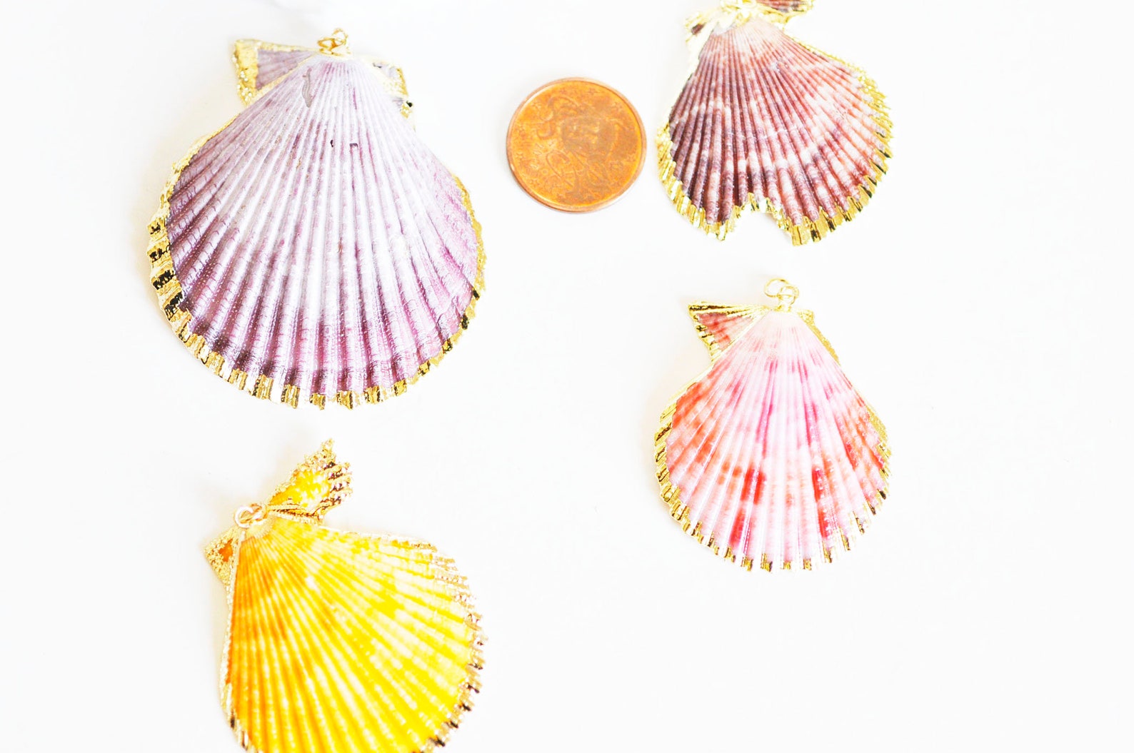 Concha natural colgante concha dorada suministro creativo | Etsy