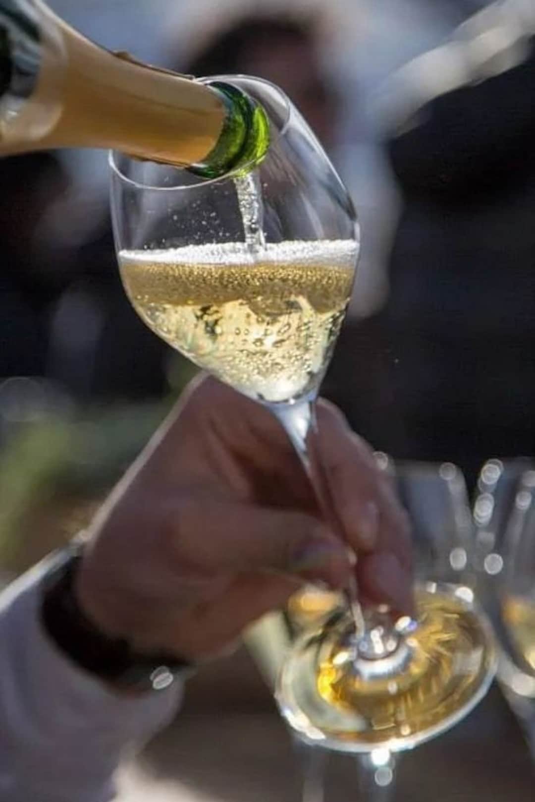 KRUG CHAMPAGNE the JOSEPH Glass Produced in Collaboration With Riedel ...