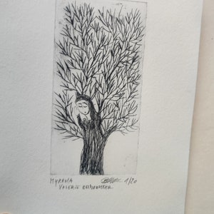 Original Art Etching Myrrha Mythology - Etsy