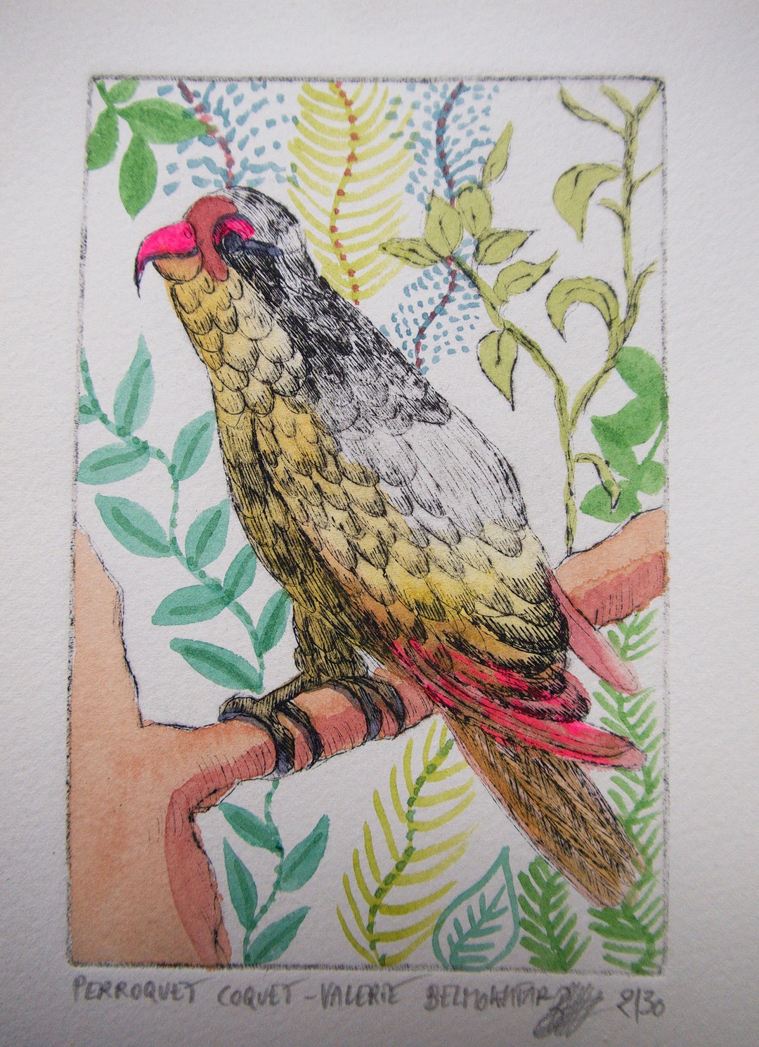 Bird Original Etching - 2/30 Parrots - Etsy