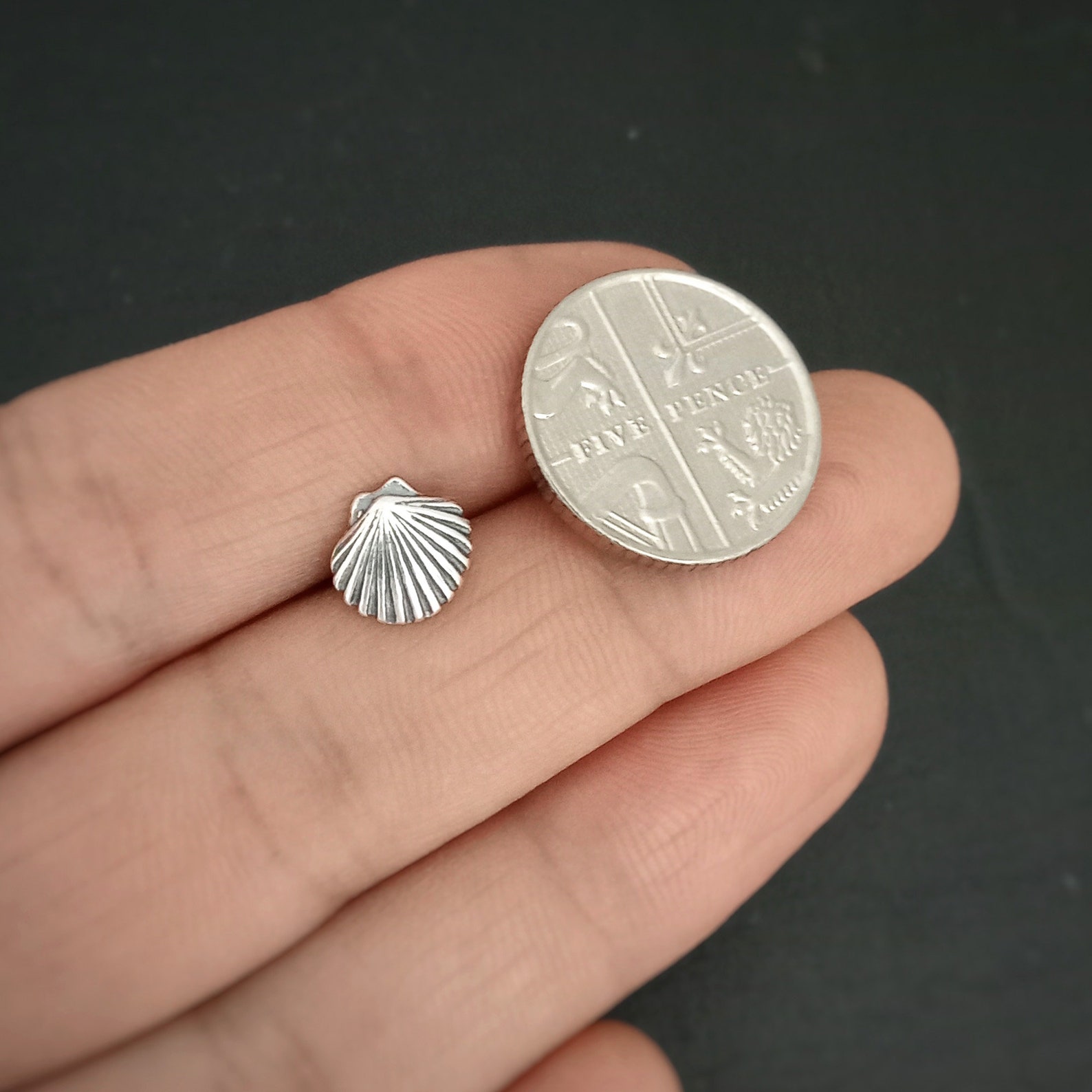 Dainty Sterling Silver Scallop Shell Stud Earrings: Nautical Jewelry - Etsy
