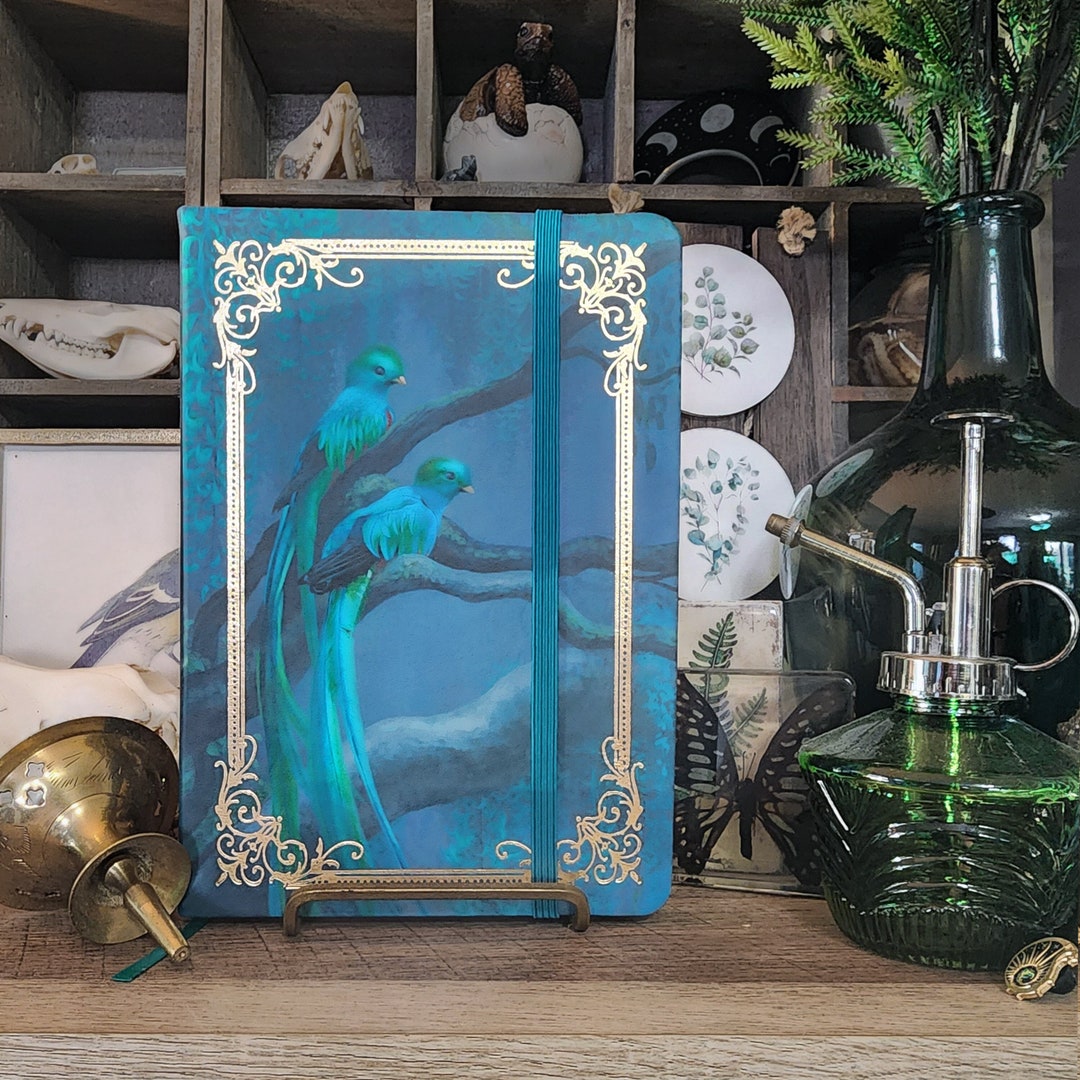 Quetzal and Jade Vine Journal / Sketchbook W Gold Foil - Luxurious ...