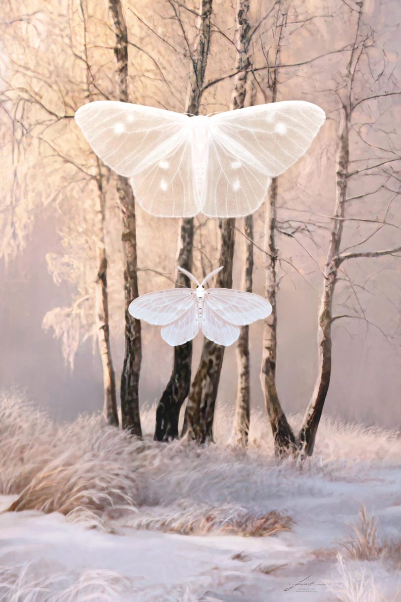Crystalline Dawn [art Print] Moth Meditation Painting - Frost Snow ...