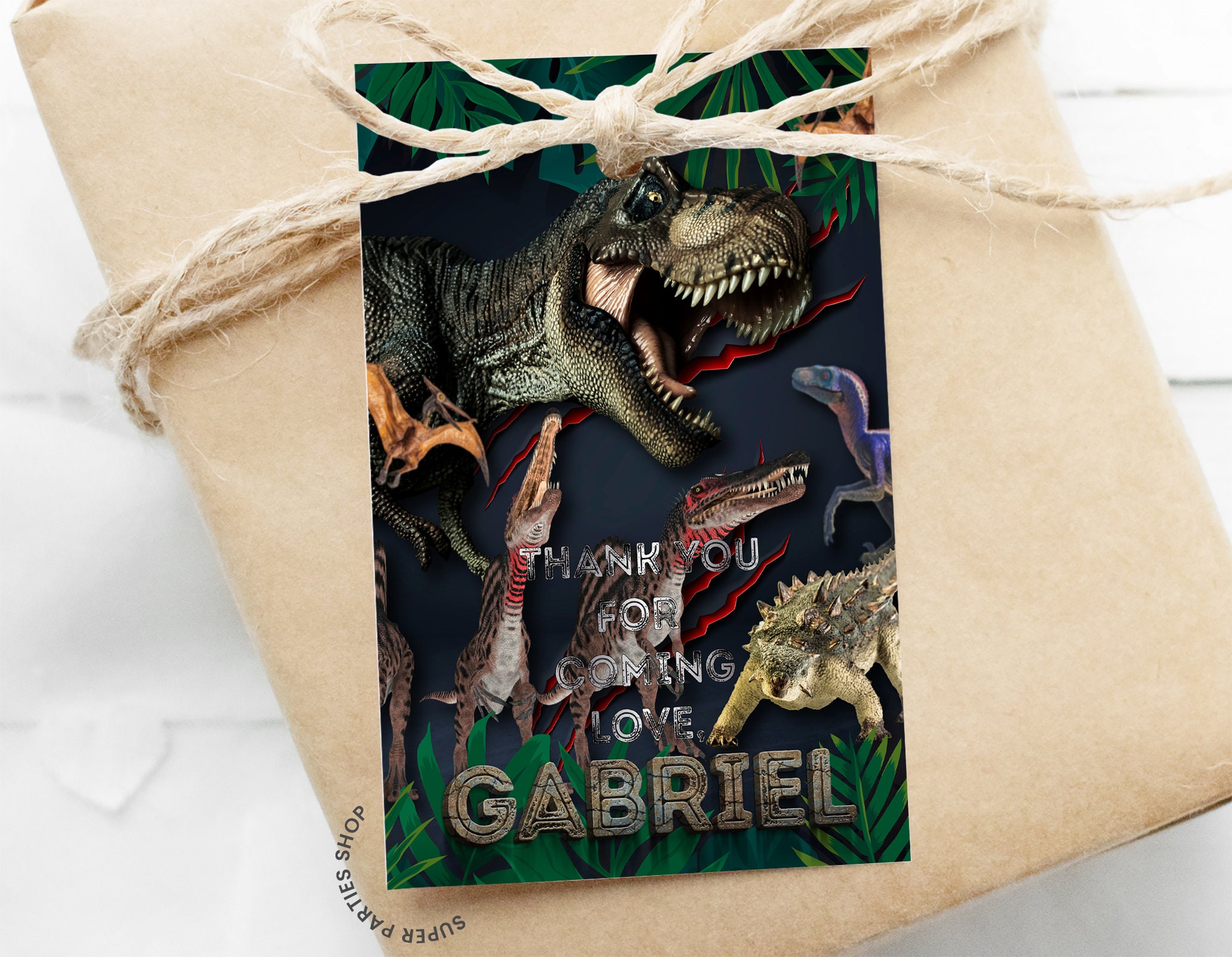 Dinosaur Bundle Party Kit Printable Chip bags Printable | Etsy