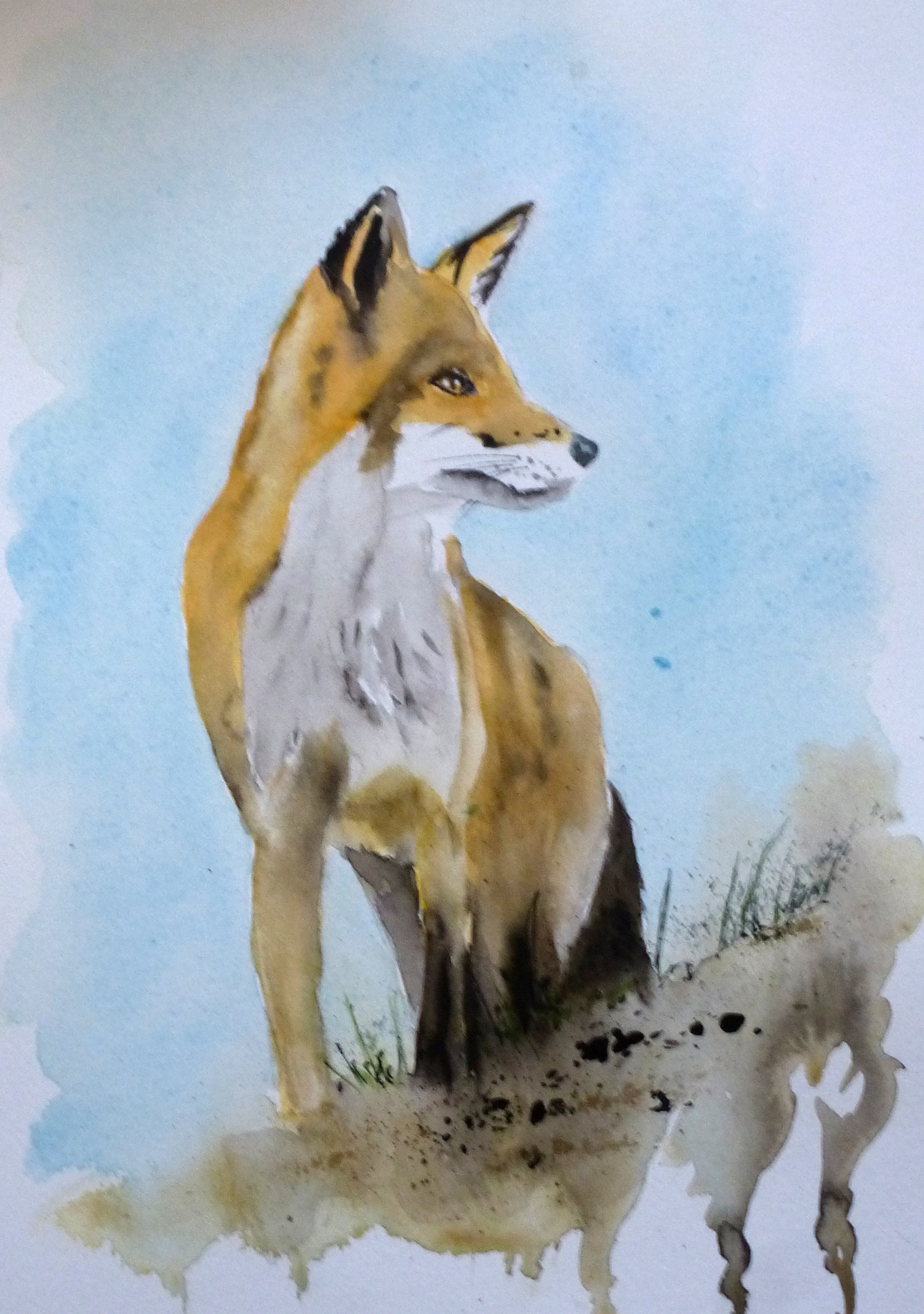 Simple Fox Watercolor