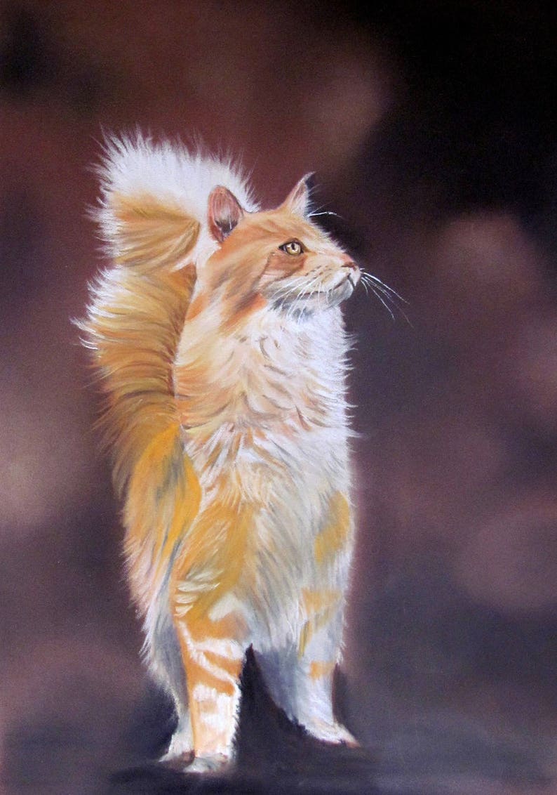 Red and White Angora Cat Pastel Animal Portrait Animal Art - Etsy