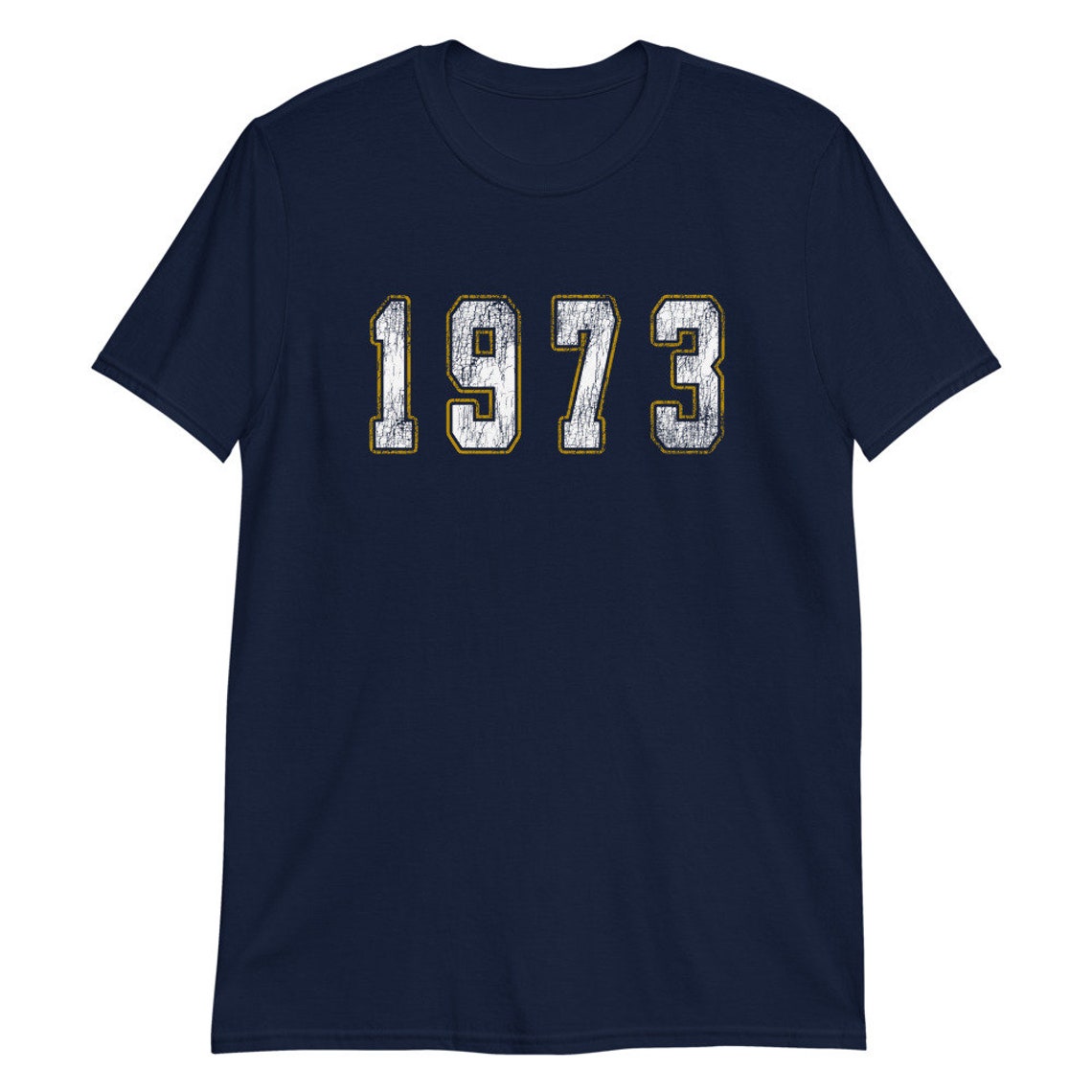 Vintage 1973 Tshirt 1973 Year Shirt Birthday Tshirt for 1973 Born in ...