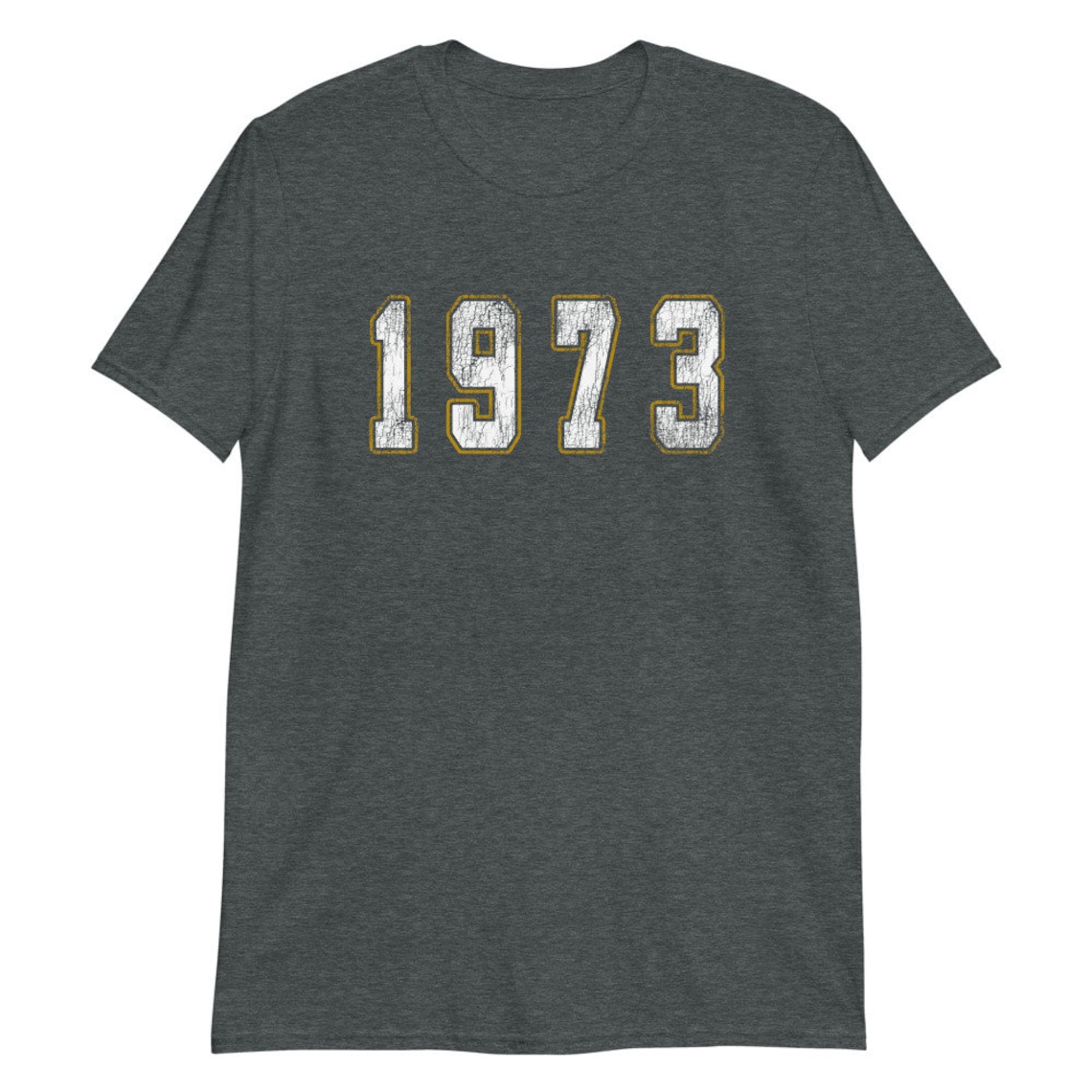 Vintage 1973 Tshirt 1973 Year Shirt Birthday Tshirt for 1973 Born in ...