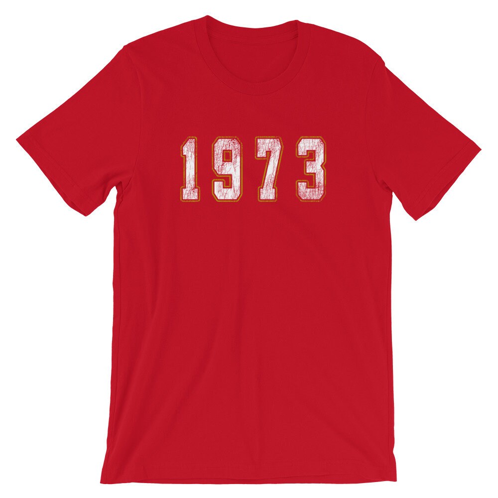 Vintage 1973 Tshirt 1973 Year Shirt Birthday Tshirt for 1973 Team ...