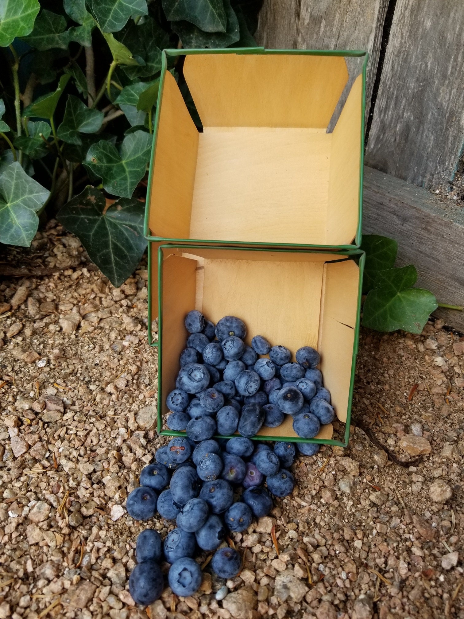 4 Vintage 1950 Orchard Crate, Berry Crate, Berries Basket, Berry Box ...