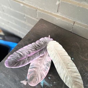 Concrete Feather Tray Dish, 9 Inches X 3 Inches, Jewelry Holder, Sink ...