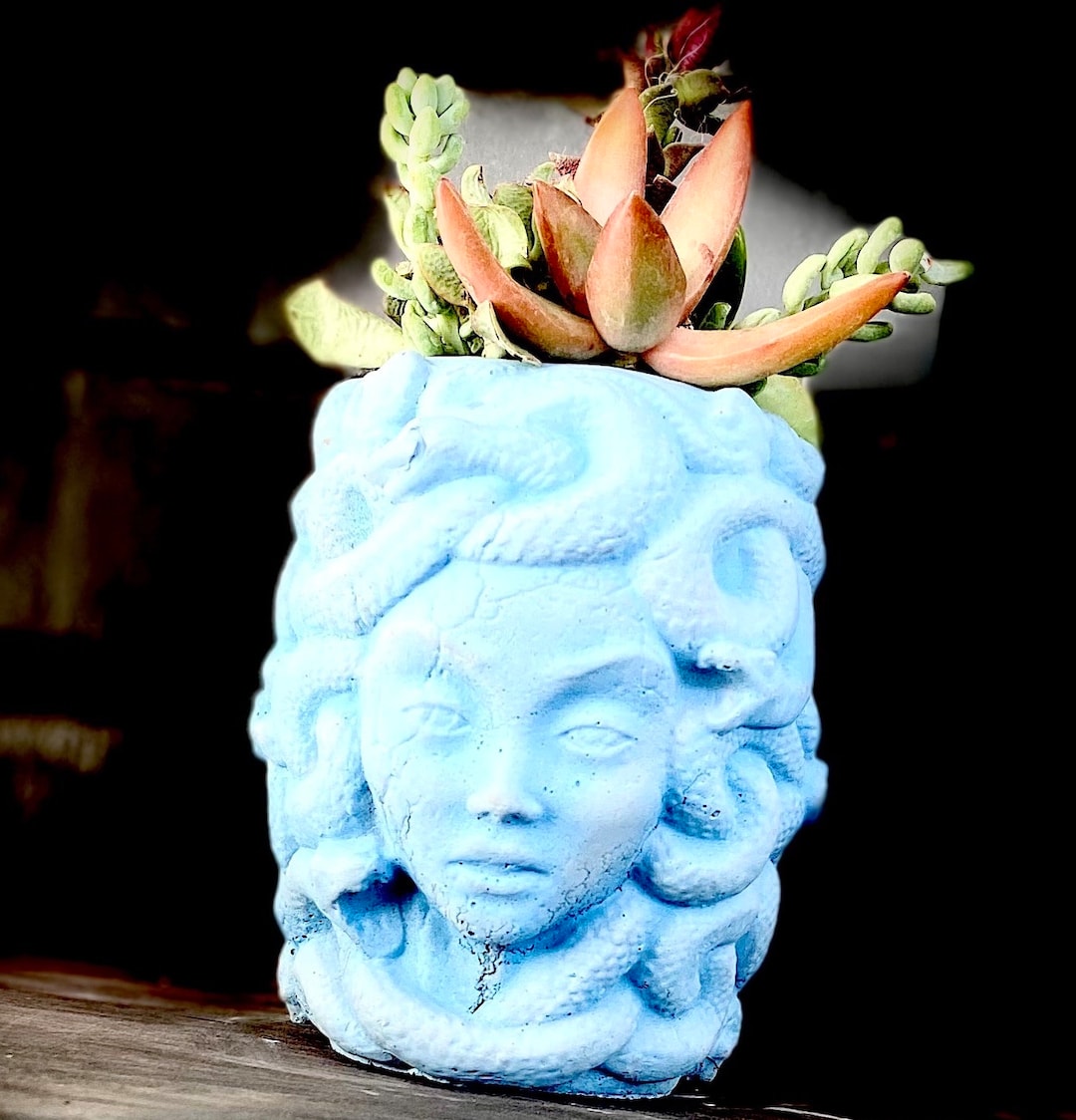Concrete Medusa 4.5 Inch Flower Pot With Drainage, Mythological ...