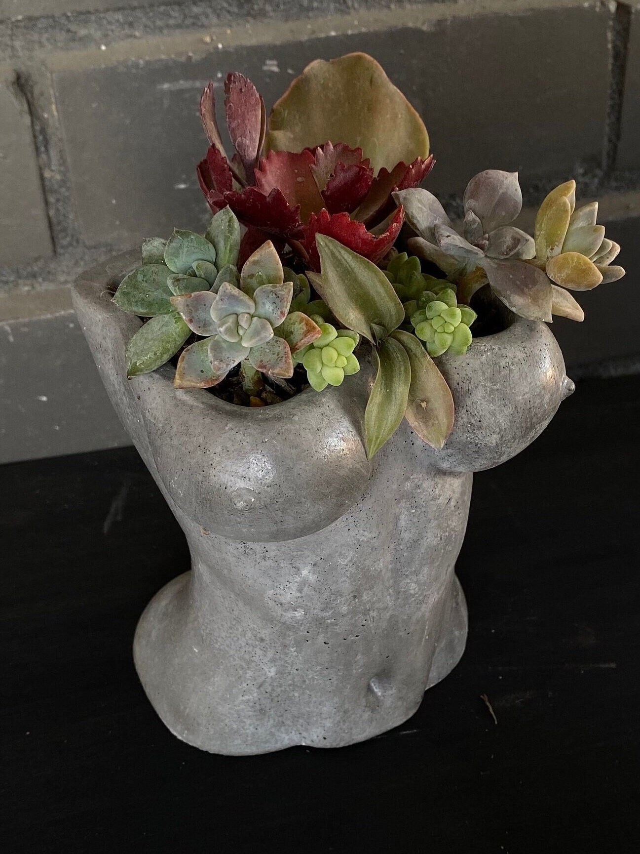 Concrete Woman Boobies Bust Pot 5 Tall With a Drain Hole. Free Shipping ...