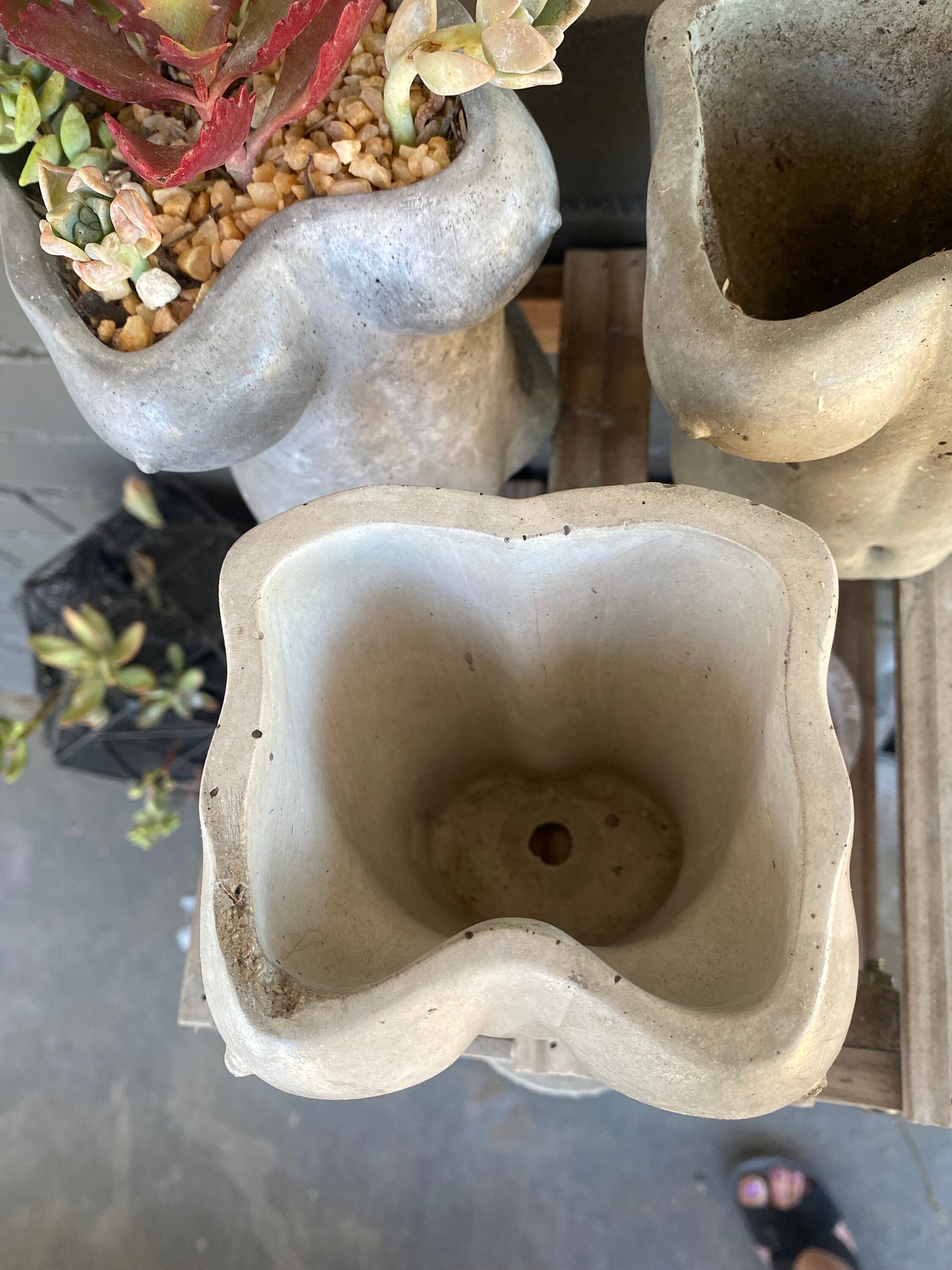 Concrete Woman Boobies Bust Pot 5 Tall With a Drain Hole. Free Shipping ...