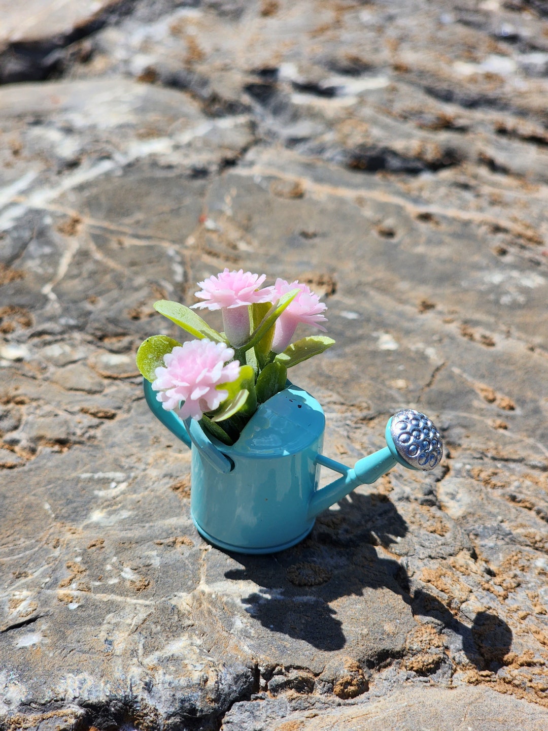 Miniature Watering Can Porch Planter - Etsy