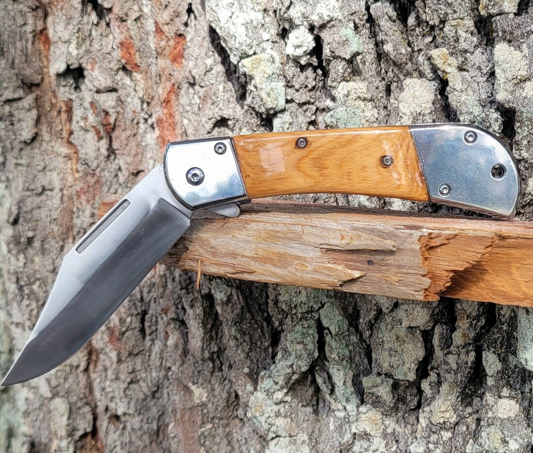 Pocket Hunting Knife With Belt Clip, Custom Folder, Spring Assist ...