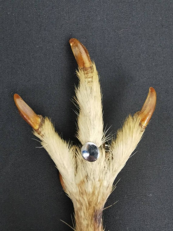Victorian Edwardian brooch Chicken foot brooch macabr… - Gem